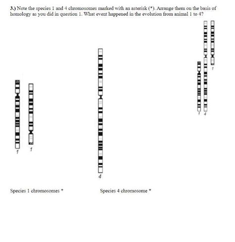phylogeny please help me answer questions