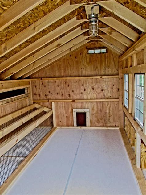 How Big Of A Coop For 7 Chickens At Trudy Younger Blog
