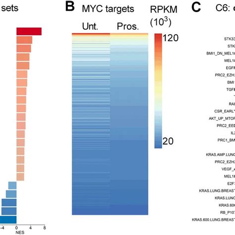 Proscillaridin A Alters Hallmarks And Oncogenic Gene Sets Gene Set