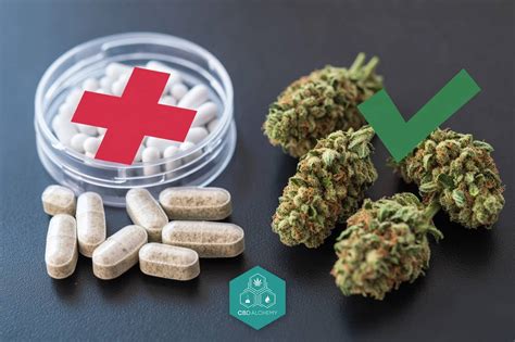 Cbd Side Effects A Comprehensive Guide To Cannabidiol Safety Risks