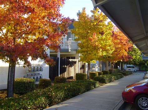 Rose Garden Rose Garden Senior Apartments Home