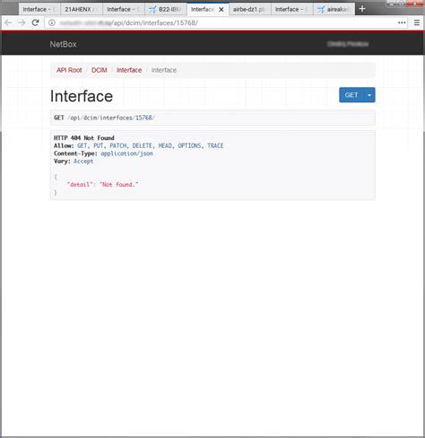 Impossibility Of Getting Info About Interface Object That S Hanged On VM Issue Netbox