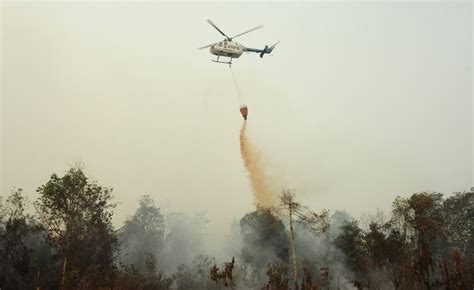 Empat Heli Berjibaku Padamkan Kebakaran Hutan Di Rohil Okezone News