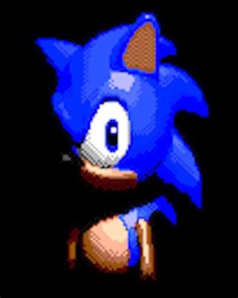 I Drew Sarah Like This One Meme Of Sonic Staring R Needlemouse