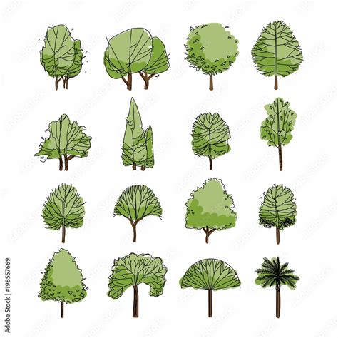 Poster Foto Side View Set Of Green Graphics Trees Elements Outline