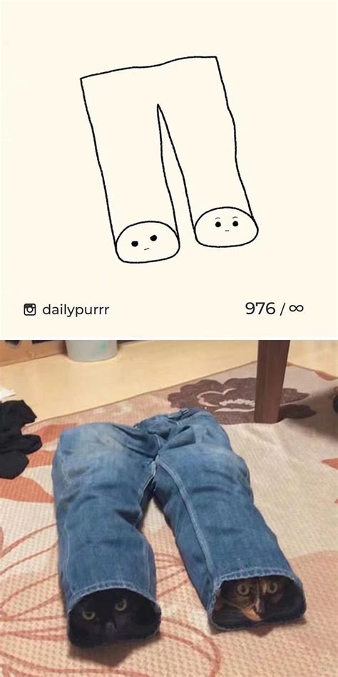 喵咪的简笔画