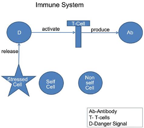 Danger Theory Model Download Scientific Diagram
