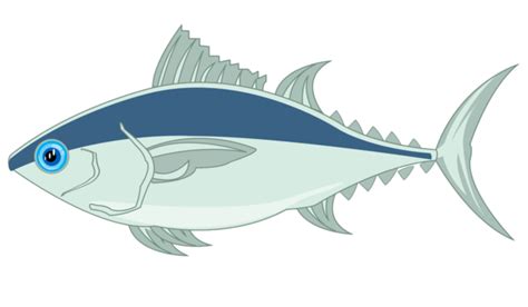 Ikan Tongkol Gambar Png File Vektor Dan Psd Unduh Gratis Di Pngtree
