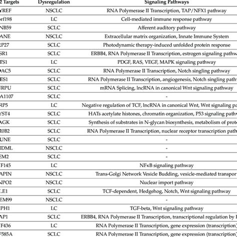 Coregulatory Networks Of Transcription Factors Related To The