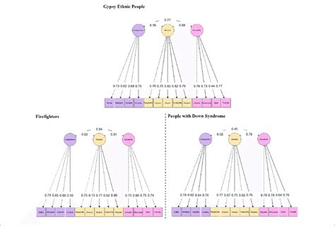 Standardized Factor Loadings And Correlations In First Order Factor