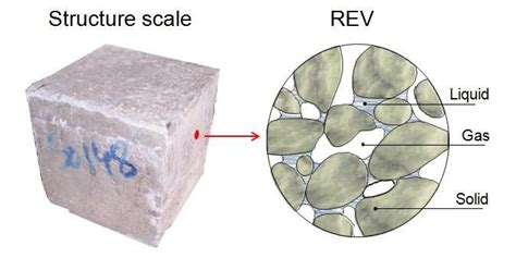 2 The Multiphase System Download Scientific Diagram