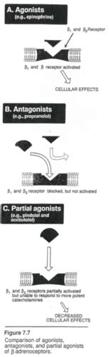 Signal Transduction Flashcards Quizlet