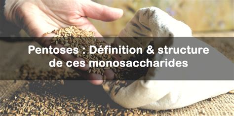 Pentoses Définition And Structure De Ces Monosaccharides