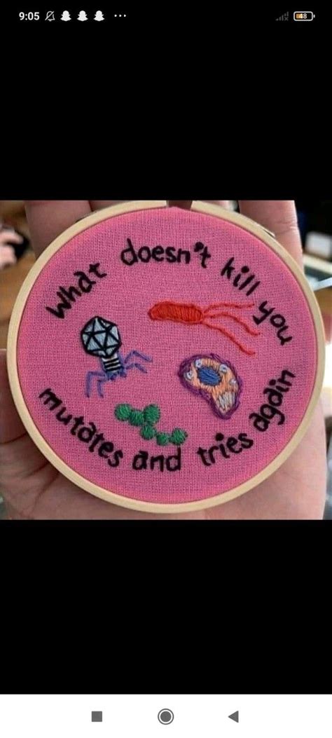 Muhammad Zulqarnain Posted On Linkedin