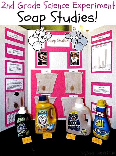 Information About Science Project Which Detergent Works Best
