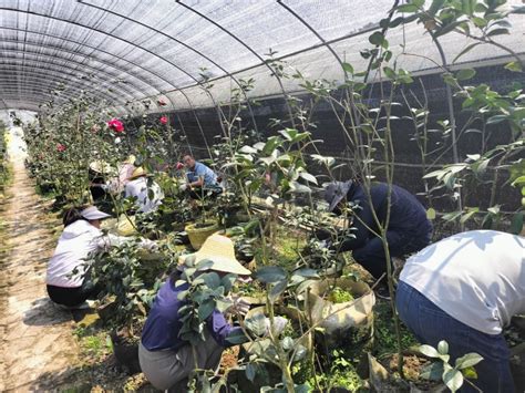 园林与建筑工程系开展校内培训 劳育 云南农业大学热带作物学院