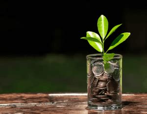 Cómo invertir en CETES y obtener ganancias seguras Guía completa