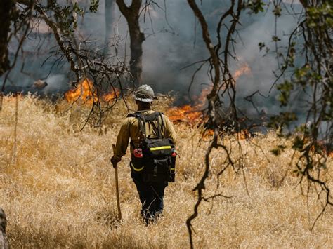 Finger Lakes National Forest Prescribed Fires Underway Finger Lakes