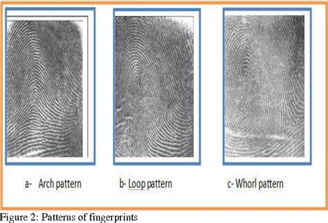 figure 2 from cross correlation based algorithm for fingerprint