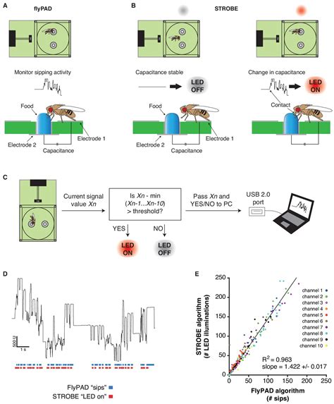 Figures And Data In Closed Loop Optogenetic Activation Of Peripheral Or