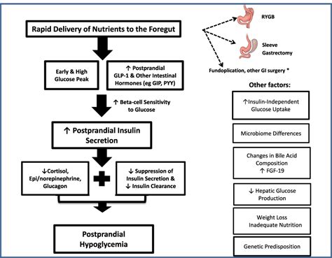 Hypoglycemia After Upper Gastrointestinal Surgery Clinical Approach T