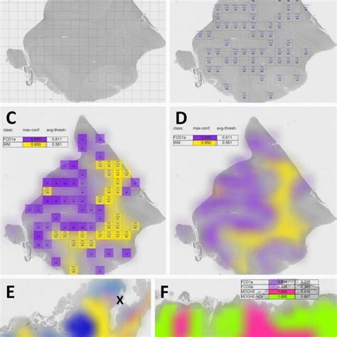 layered resnet18 activation of complex tissue patterns a input image