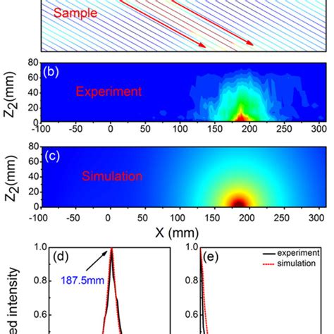 Acoustic Pressure Distribution Of The Point Source And Wave Propagation