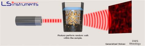 Diffusing Wave Spectroscopy Solutions For Research On Surfaces And
