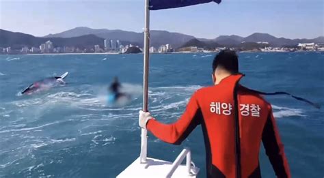 부산 송정 앞바다서 돛대 부러져 표류하던 40대 윈드서퍼 구조 파이낸셜뉴스