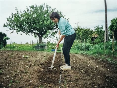 Choosing The Perfect Soil For Your Garden Gardenmoz