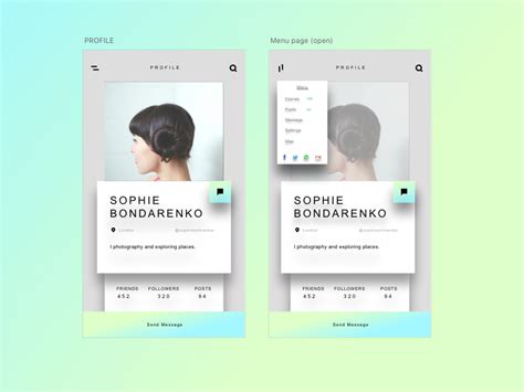 UX UI Design App Profile Page Work From Freelancer S Portfolio Valerii Example From