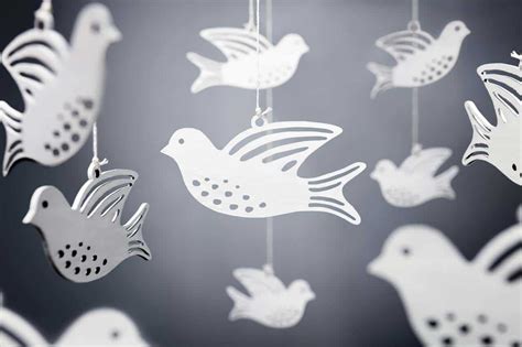 Dove Symbolism And Pigeon Meaning