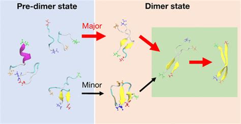 Dimerization Of α Synuclein Fragments Studied By Isothermalisobaric