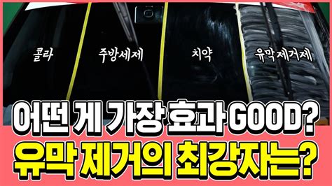 자동차 유막제거 이게 가장 효과적이다 치약 콜라 유막제거제 세제 Youtube