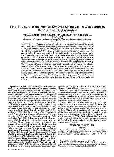 Pdf Fine Structure Of The Human Synovial Lining Cell In
