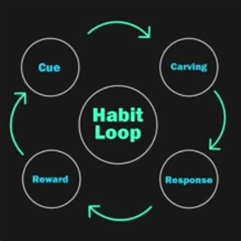 Habit Cycle Ajinkya Chirde