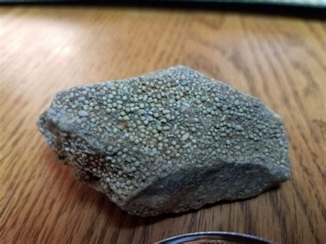 Tiny Fossilized Eggs Fossil Id The Fossil Forum