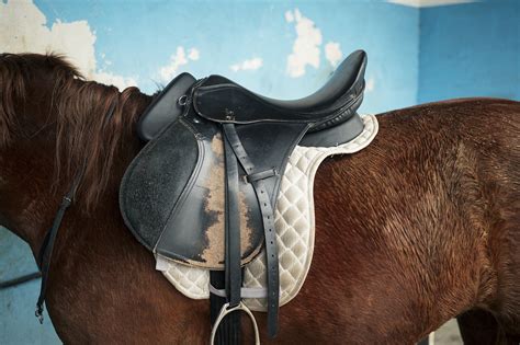 English Or Western Saddle Whats The Difference