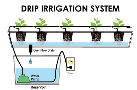Schematic Diagram Of Drip Irrigation System Electrical Condu