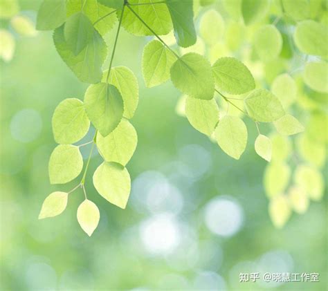 如何走出财务困境 知乎
