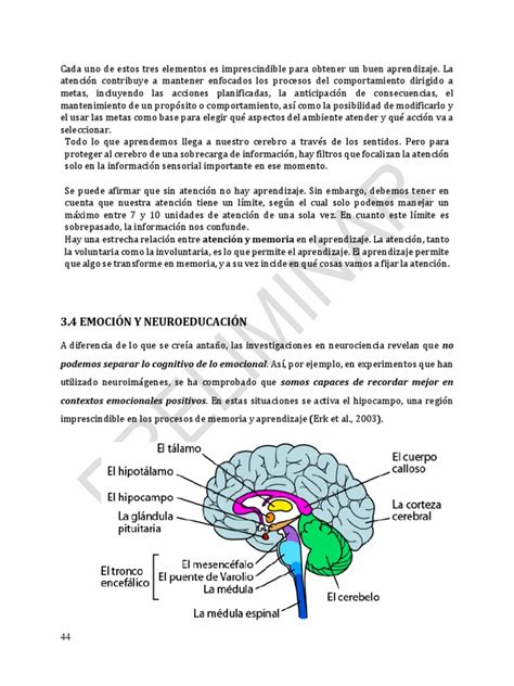 2 Manual Fundamentos De La Didáctica Centrada En El Participante 51 Pdf