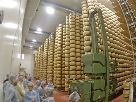 Sistal Società Italiana Di Scienze E Tecnologie Alimentari