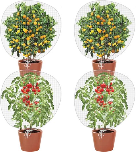 Iwiio Bird Netting For Garden Protection 2 Pack Fruit Tree Netting