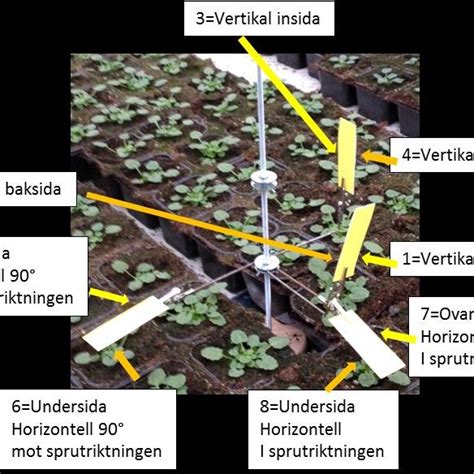 Messicks Validity Framework Messick 1989 Download Table