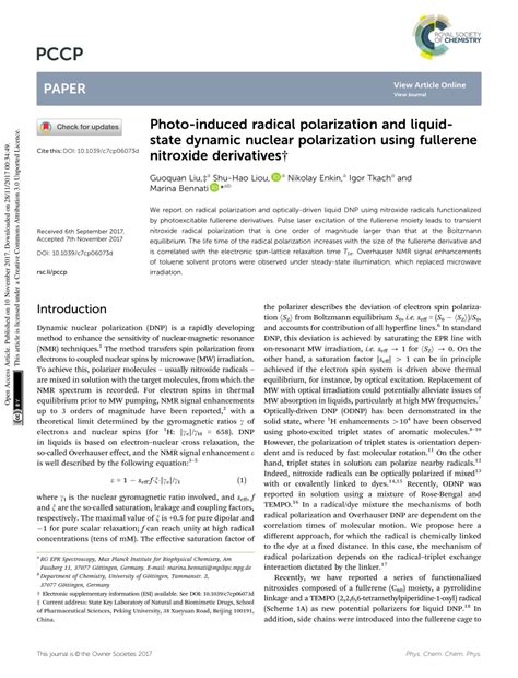 Pdf Photo Induced Radical Polarization And Liquid State Dynamic