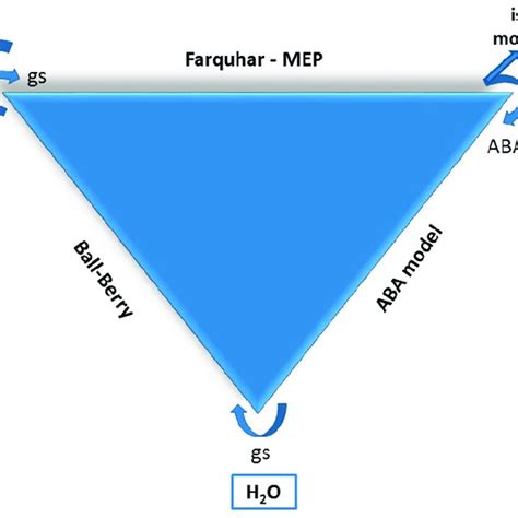 Simplified Diagram Showing Proposed Model Interactions Between A