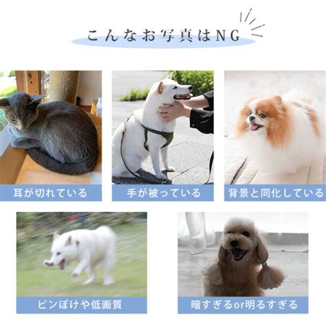 ペット 写真 クッションキーホルダー オリジナル オーダーメイド メモリアル メモリアルグッズ プレゼント クッションファスナー付き