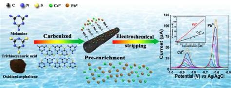 用于痕量镉和铅离子电化学检测的混合分级多孔碳微米管applied Surface Science X Mol