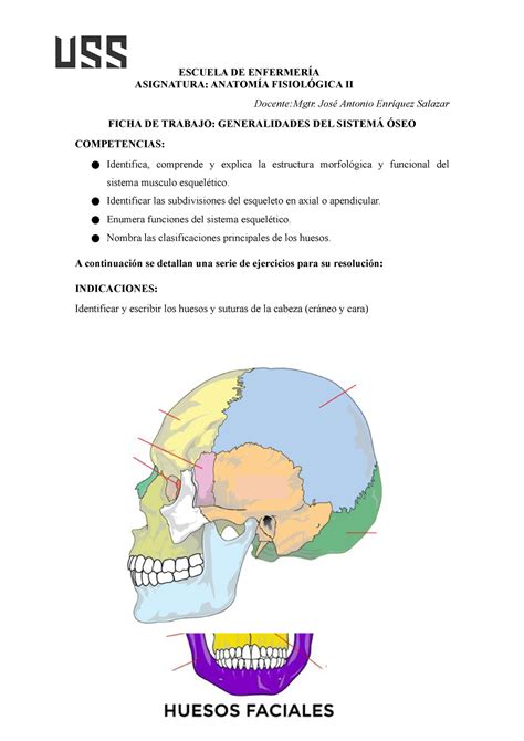 GuÍa Práctica N°3 Anatomia Escuela De EnfermerÍa Asignatura AnatomÍa