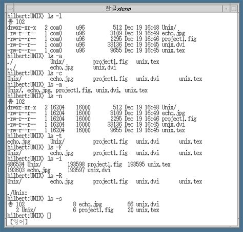 Unix의 기본 명령어